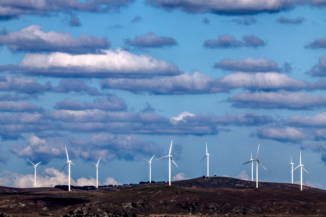 Queensland Government Halts 226-Turbine Wind Farm Project