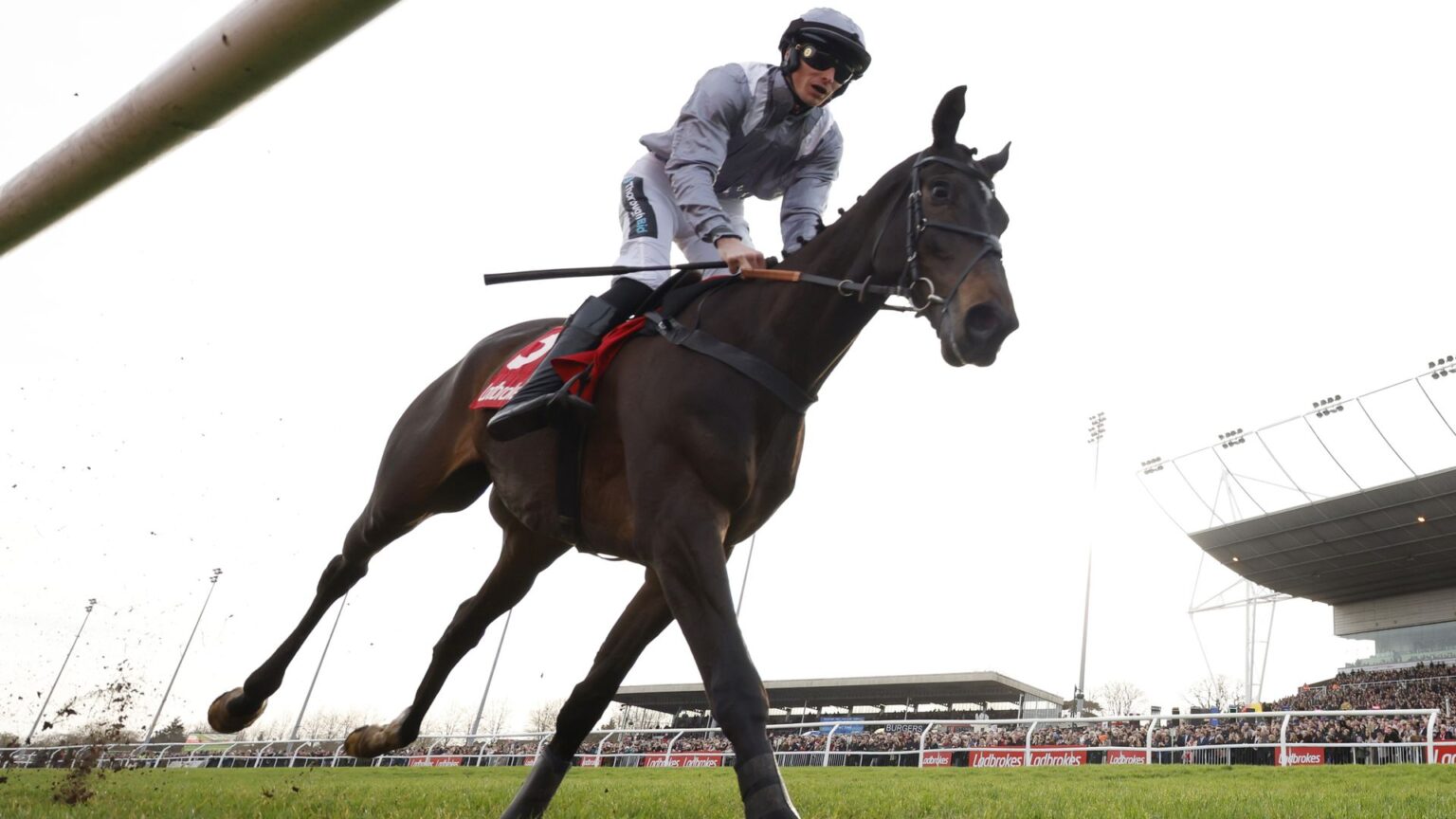 Tom George Takes Charge of Il Est Francais Ahead of Jumps Season