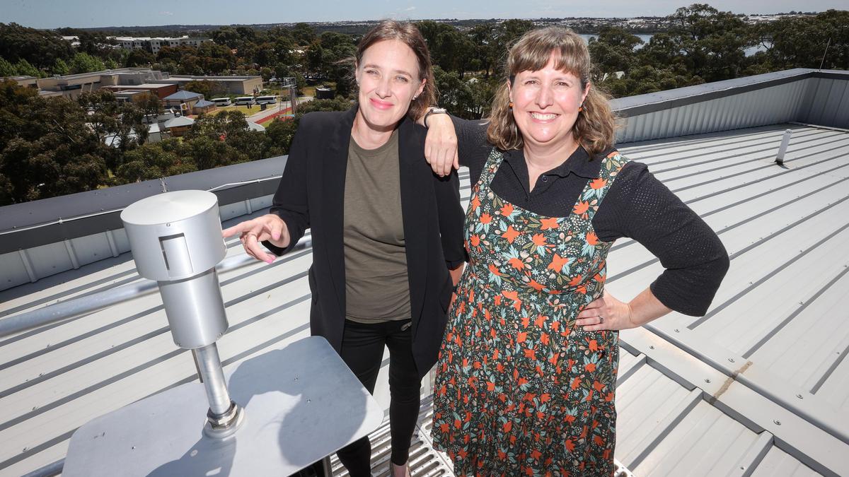 Perth Launches Groundbreaking Automatic Pollen Monitor for Hayfever Relief