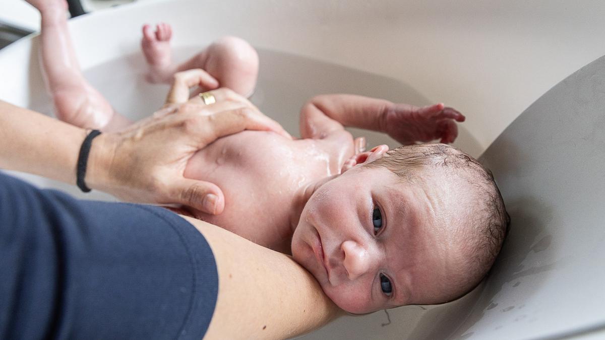 Scientists Develop Method for Creating Human Eggs from Skin Cells