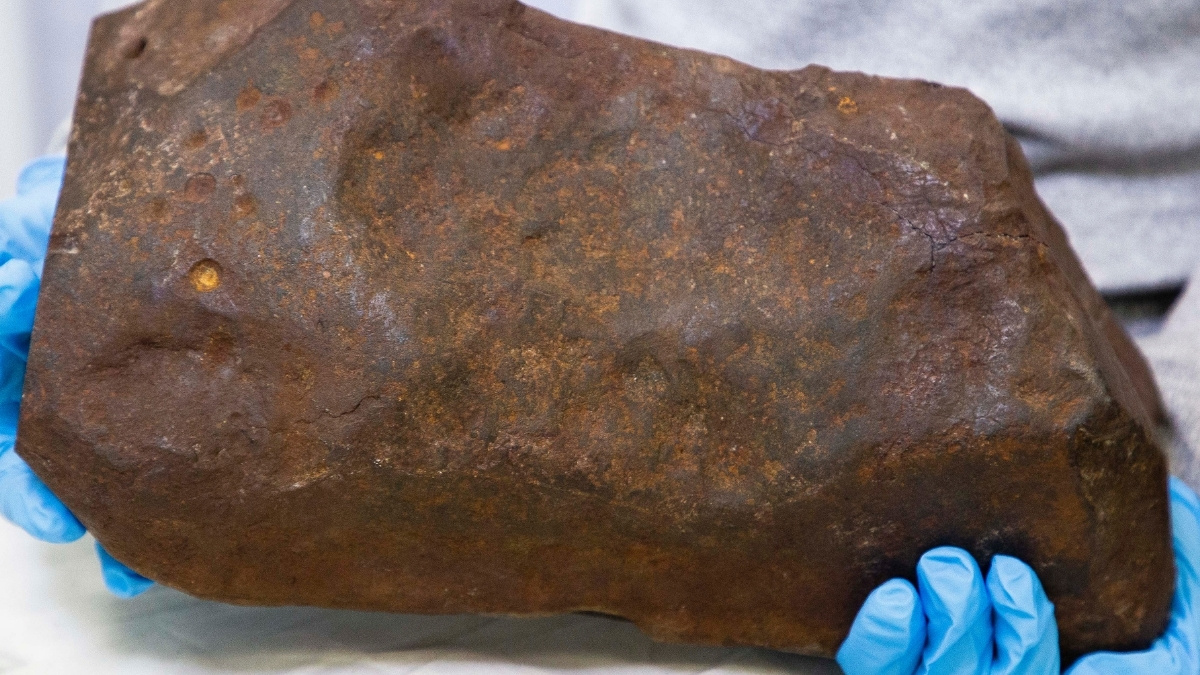 Man Uncovers Meteorite Worth More than Gold After Years of Search