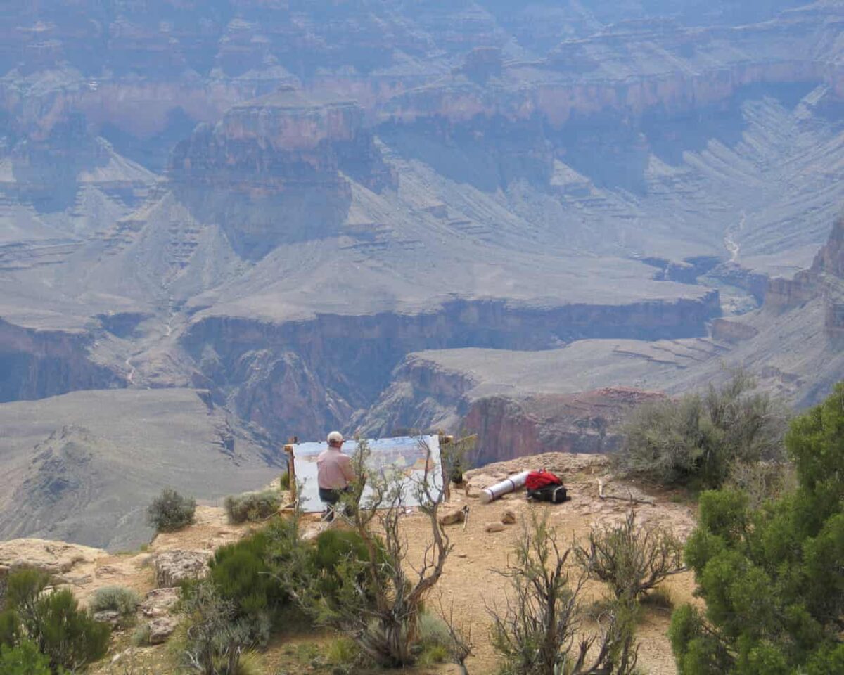 Conservation Projects Face Crisis as Global Biodiversity Goals Slip