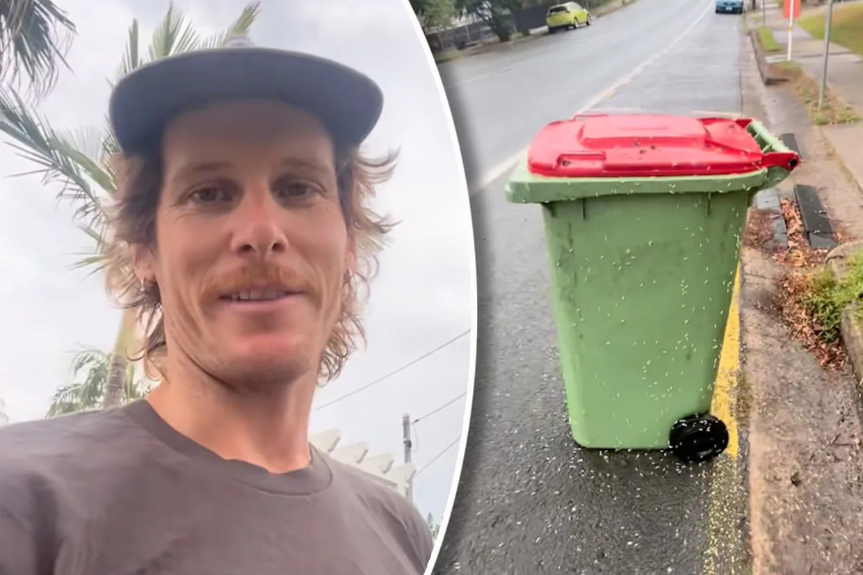 Urgent Alert: Aussies Face Maggot Crisis in Bins Ahead of Summer
