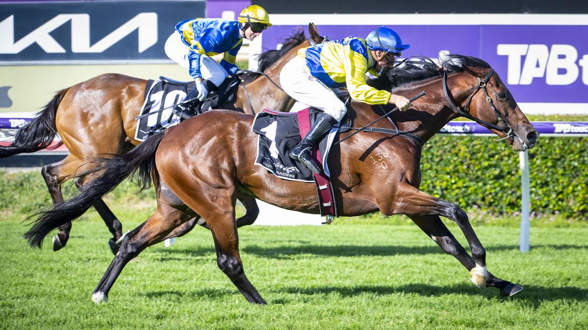 Apulia Surges to Victory in Ted Van Heemst, Eyes Perth Cup