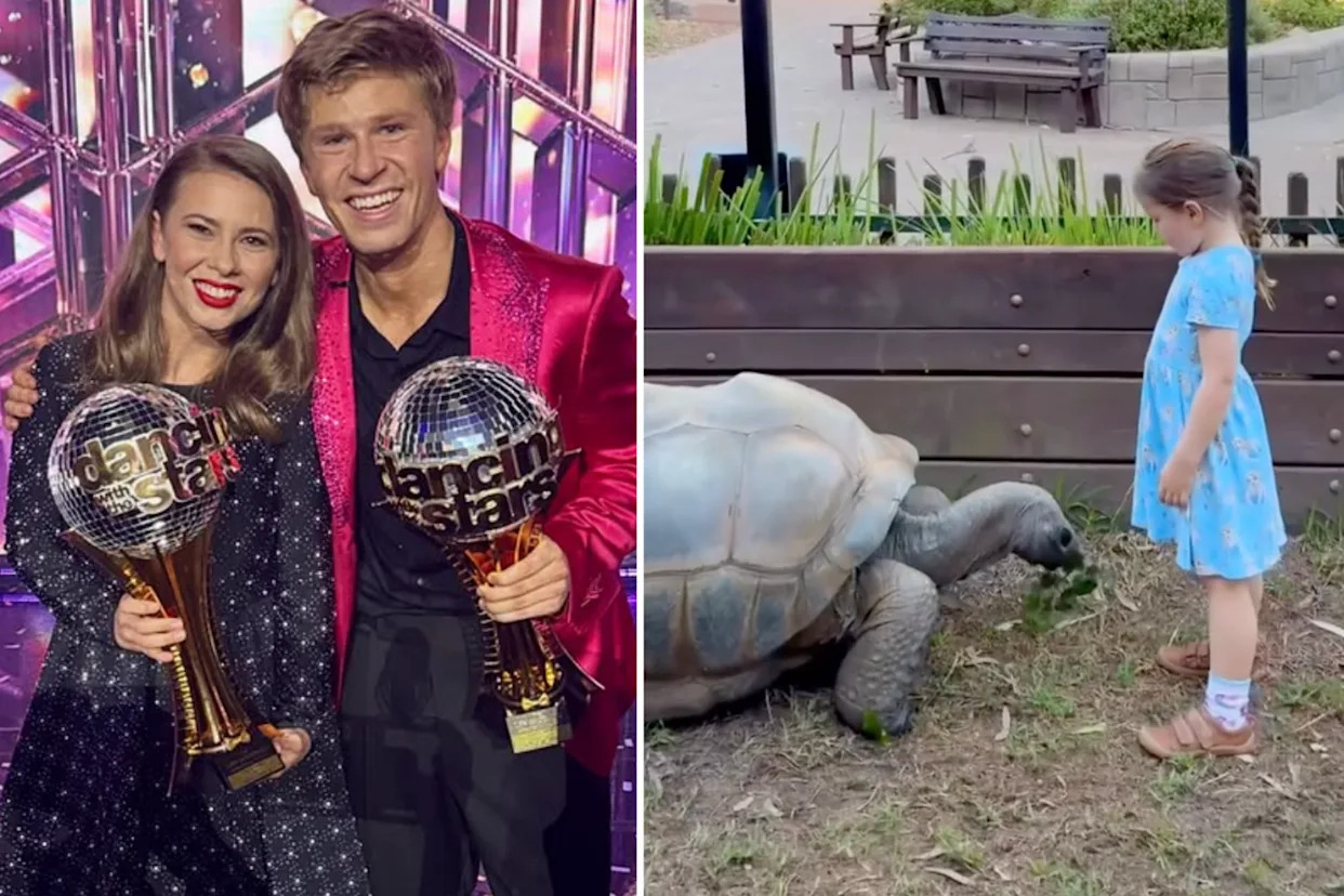 Bindi Irwin Shares Daughter's Heartwarming Reunion with Giant Tortoise