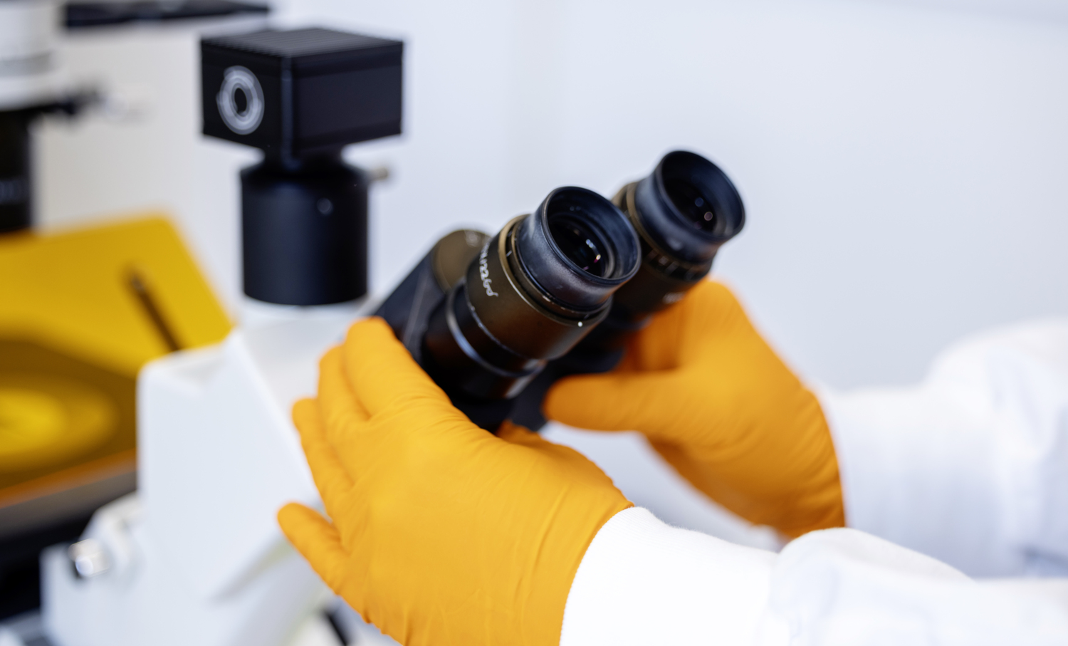 Swedish Research Council Awards Over SEK 526 Million in Grants