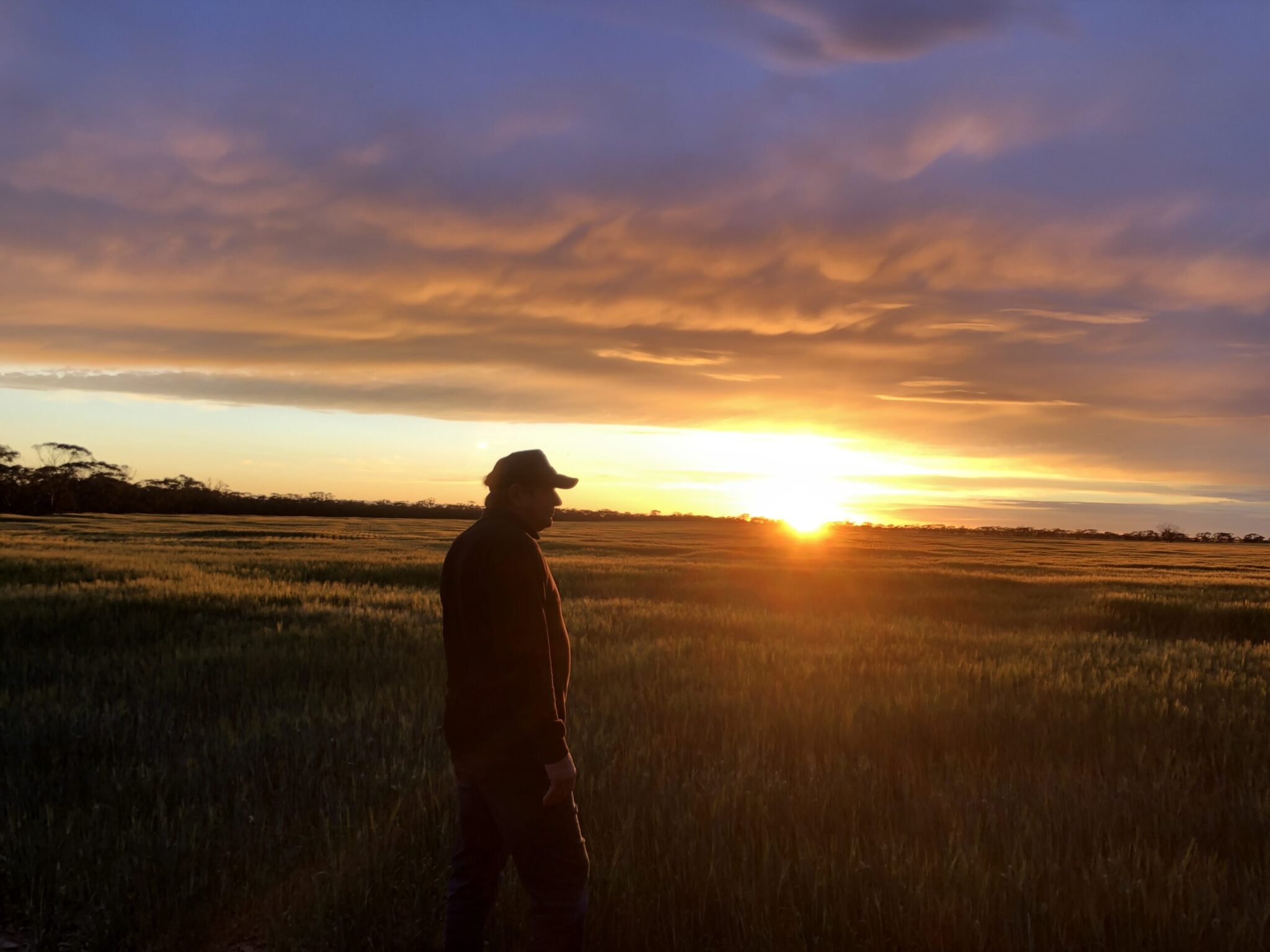 Tiny Snails Make Historic Comeback on Norfolk Island